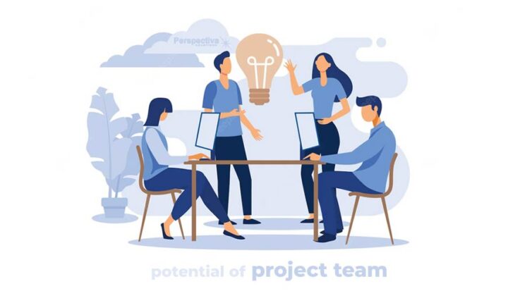 Evaluation of a project potential in startup - project Team